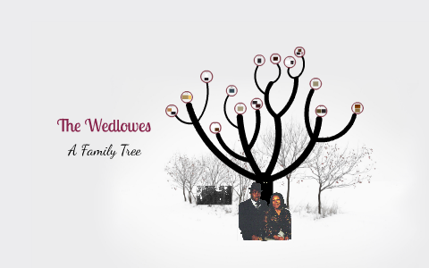 Wedlowe Family Tree by Aria Aaron on Prezi