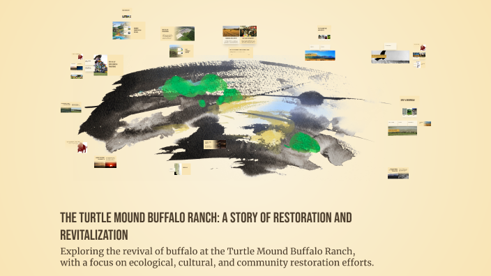 The Turtle Mound Buffalo Ranch: A Story of Restoration and ...