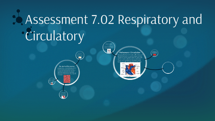 Assessment 7.02 Respiratory and Circulatory by on Prezi