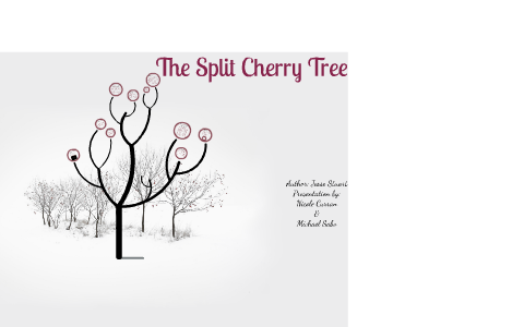 The Split Cherry Tree by Nic C on Prezi