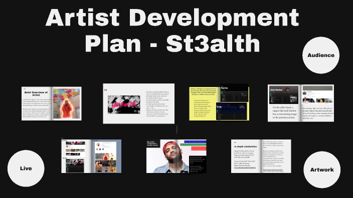 Artist Development Plan by Joris Sabaliauskas on Prezi