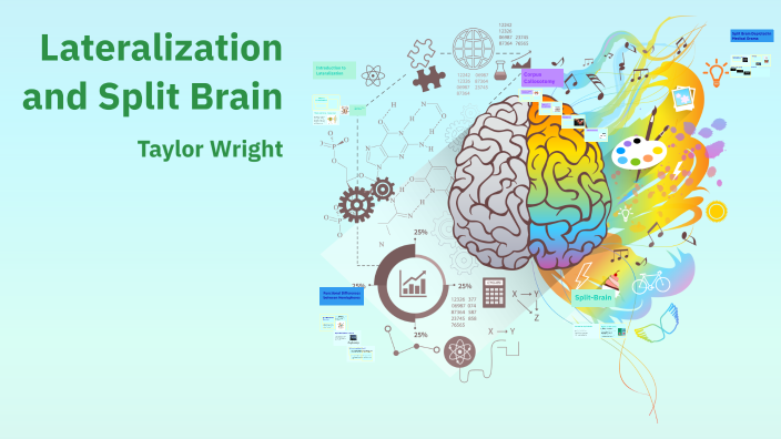 Lateralization and Split Brain by T Wright on Prezi