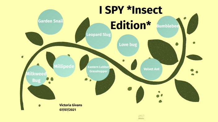 I SPY Insect Edition by Victoria Givans on Prezi