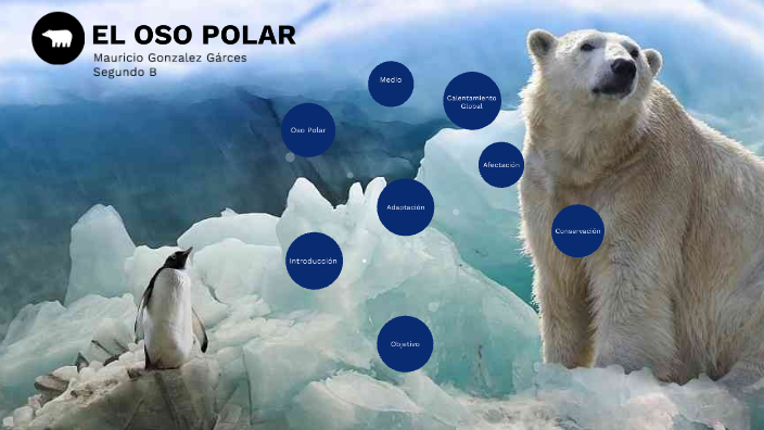 EL OSO POLAR2 by Victoria Garces on Prezi