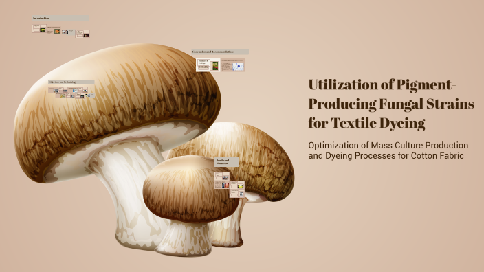 Utilization of Pigment-Producing Fungal Strains for Textile Dyeing by ...