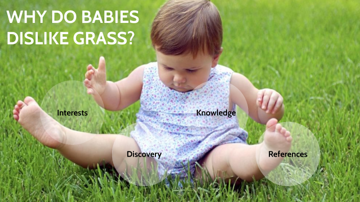 Why Do Babies Dislike Grass? by Kim Clarke on Prezi