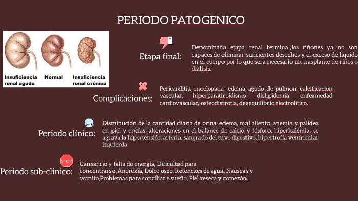 PERIODO PATOGENICO by aide romero on Prezi