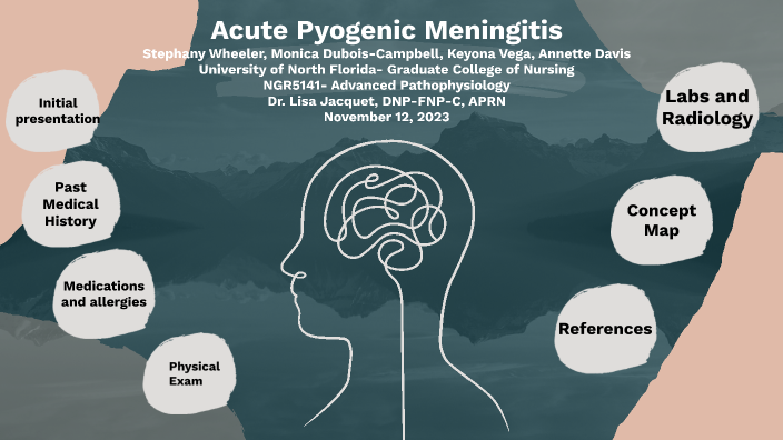 acute pyogenic meningitis by Stephany Wheeler on Prezi