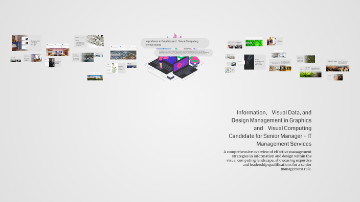 Information, Visual Data, and Design Management in Graphics and Visual ...