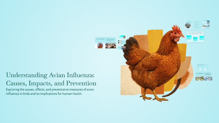 Understanding Avian Influenza: Causes, Impacts, and Prevention by Ivan ...