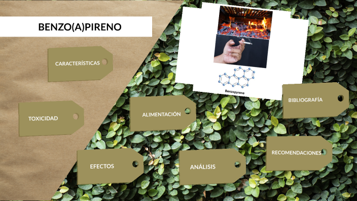 BENZO(A)PIRENO by Ester Bravo on Prezi