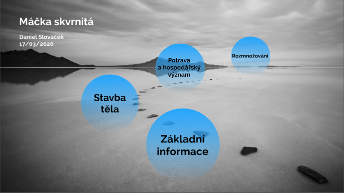 Bi - Máčka skvrnitá by Daniel Slováček on Prezi