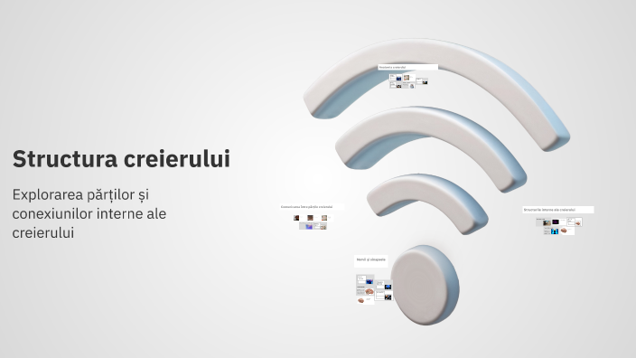 Structura creierului by Ioana Vidaicovici on Prezi