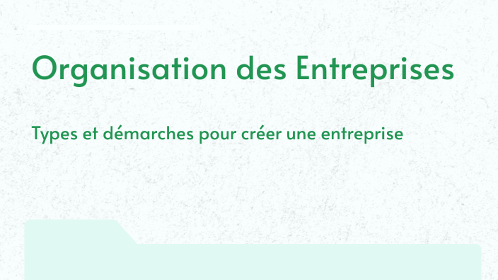 Organisation des Entreprises by ROMANE OZIOL on Prezi