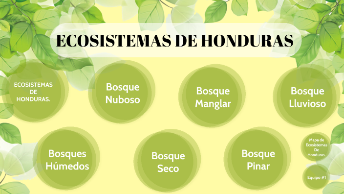 Ecosistemas De Honduras by Derling Gonzales on Prezi