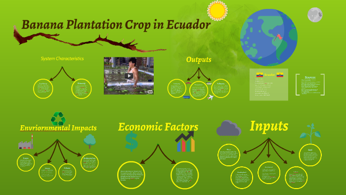 Banana Production in Ecuador by Ahmed Al-Zubaidi on Prezi