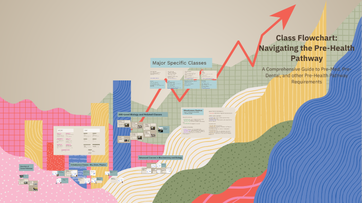 Class Flowchart: Navigating the Biology Pathway by Sai Trisha Chenna on ...