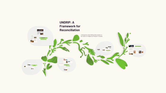 UNDRIP: A Framework for Reconciliation by g h on Prezi