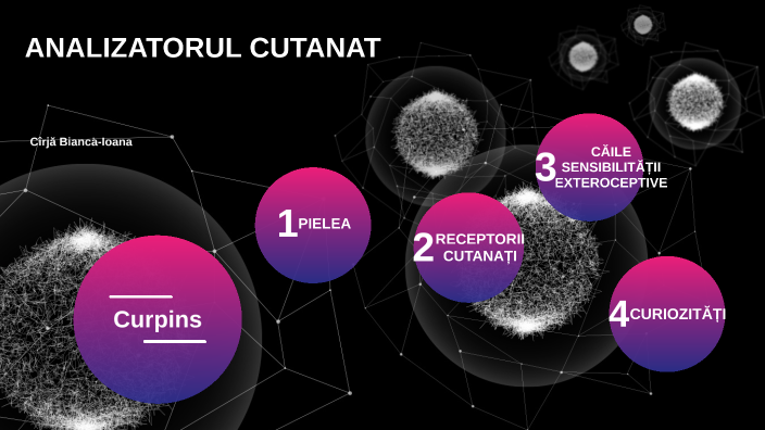 Analizatorul cutanat by BIANCA by Bianca Carja on Prezi