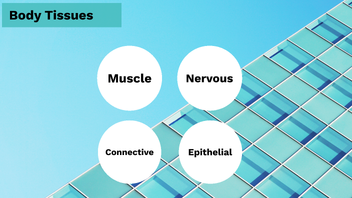 Tissues concept map by George Saunders on Prezi