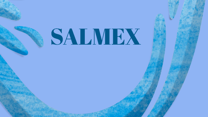 salmex by Catalina Belen Vegas Diaz on Prezi