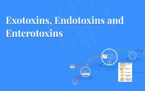 Exotoxins, Endotoxins and Enterotoxins by Lacee Mallard on Prezi