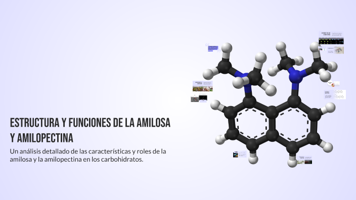 Estructura y Funciones de la Amilosa y Amilopectina by Luis Bautista on ...