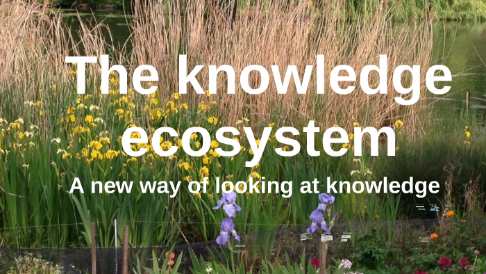 The knowledge ecosystem by Susan Chan on Prezi