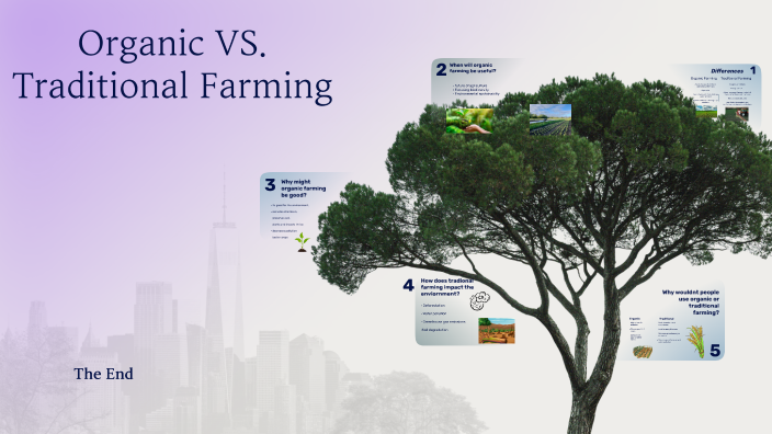 Organic vs Traditional Farming by Eshal Awan on Prezi