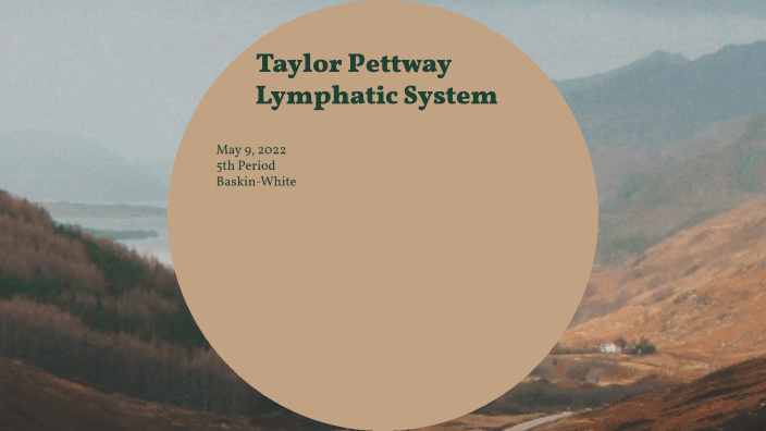 Immune/ Lymphatic System by taylor p on Prezi