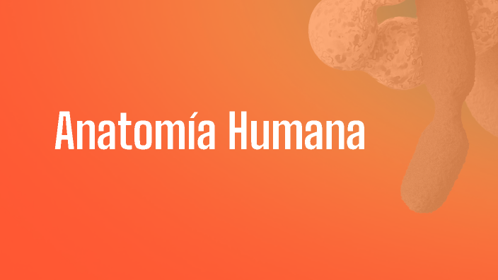 Anatomía Humana by Juan Carlos Reque Maldonado on Prezi