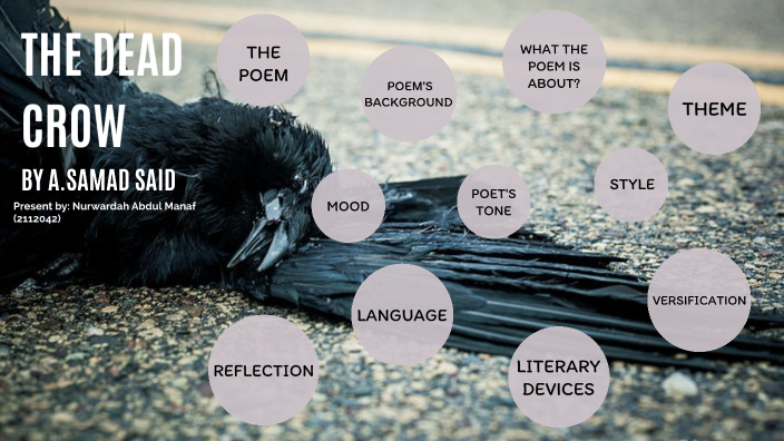 THE DEAD CROW BY A.SAMAD SAID by NURWAR ABDUL MANAF on Prezi