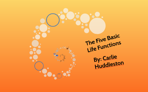 The Five Basic Life Function by REBECCA BAGGETT on Prezi