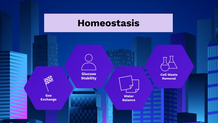 Task 4 Homeostasis by George Bakas on Prezi