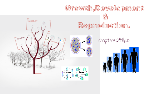 Growth and Development & Reproduction. by Michelle Cano on Prezi