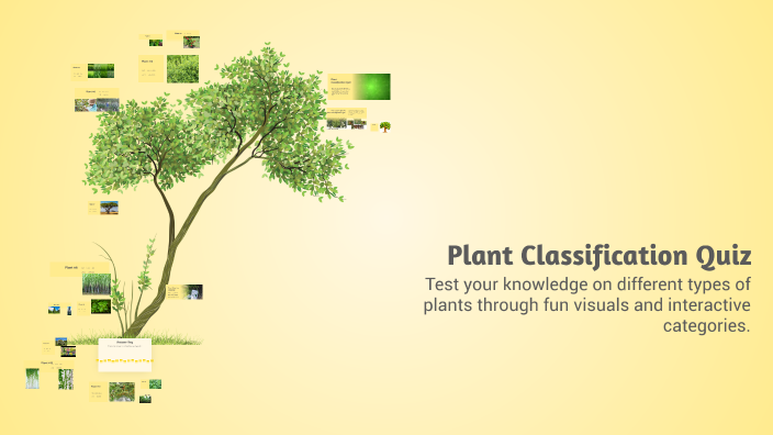 Plant Classification Quiz by Melanio Peria on Prezi