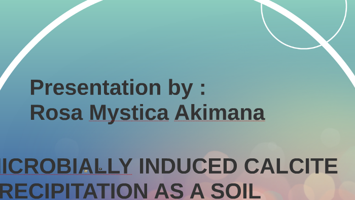 The MICP process starts with the hydrolysis of urea by Sporo by Rosa ...