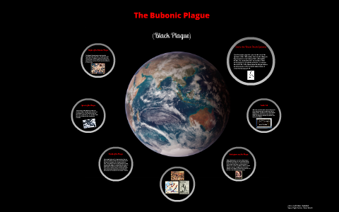 Bubonic Plague Project by Colin Smith on Prezi