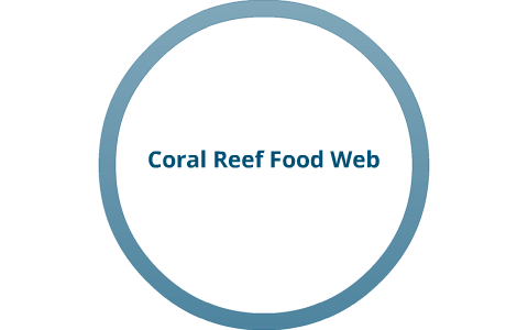 Coral Reef Food Web - Sullivan by Oona Sullivan on Prezi
