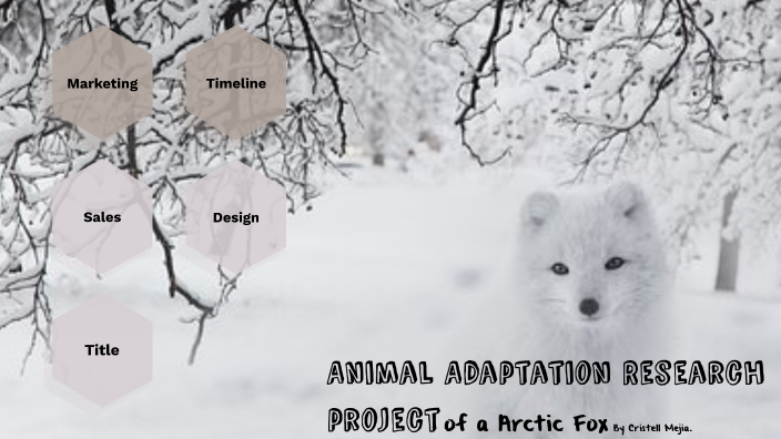 Animal Adaptation Research project by Cristell MejiaSinta on Prezi
