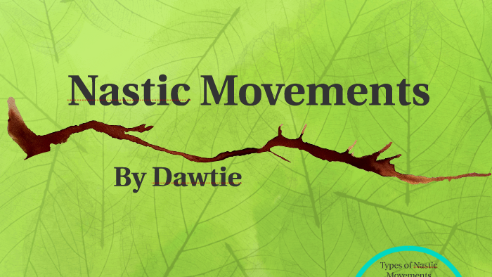 Nastic Movements by Kaitie Sugg on Prezi