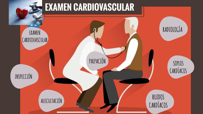 EXÁMEN FÍSICO CARDIÁCO by Alison Flores on Prezi