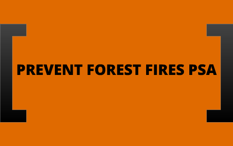 forest fire psa by Crystal Diaz on Prezi