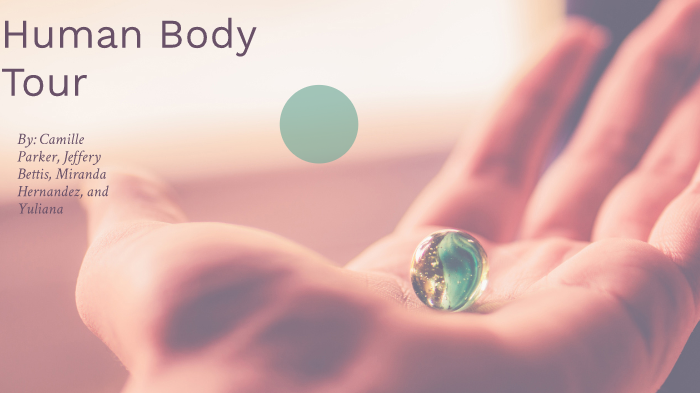 Human Body Tour by Camille Parker on Prezi