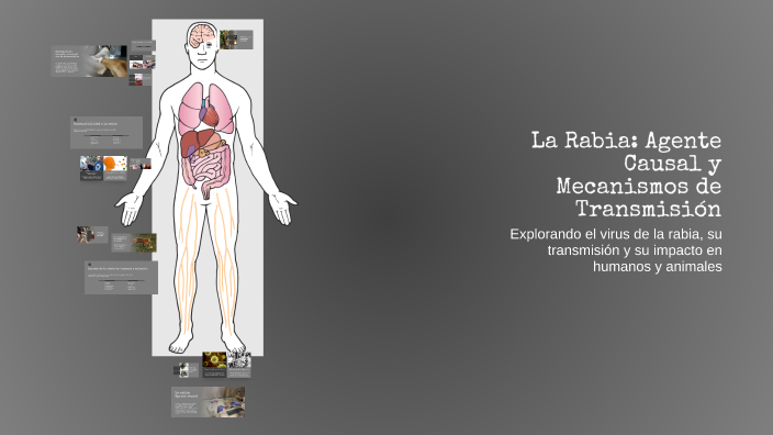 La Rabia: Agente Causal y Mecanismos de Transmisión by Mayra Roblero on ...
