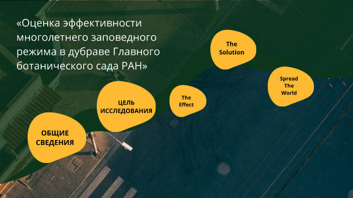 1111 by Alla Balashova on Prezi