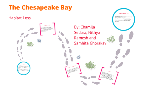 The Chesapeake Bay: Habitat Loss by NCS RSG on Prezi