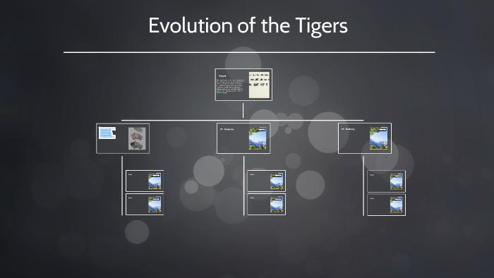 Evolution of the Tigers by Jonathan Lopez on Prezi