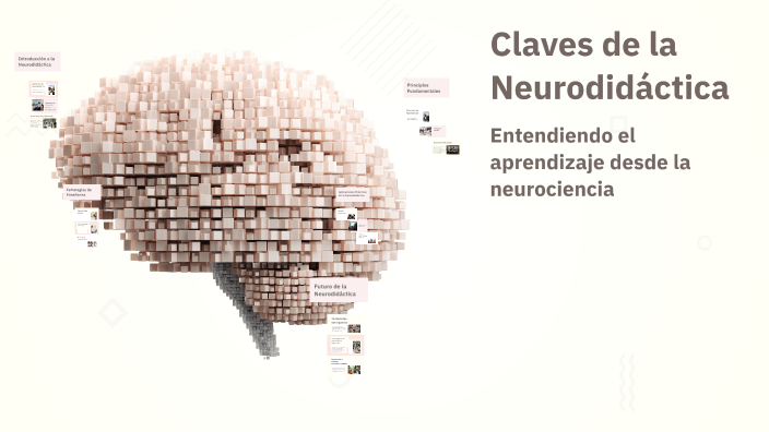 Claves de la Neurodidáctica by Kelly Johana Infante Beltrán on Prezi