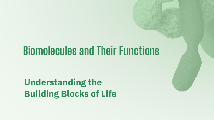 Biomolecules and Their Functions by Iván Cg on Prezi